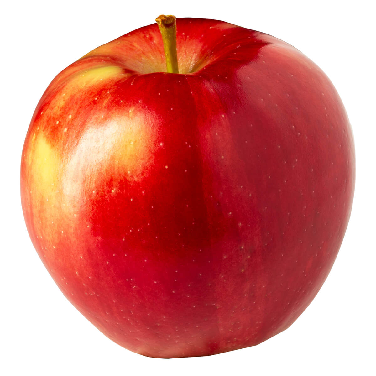 Sunrise Apple – Chudleigh's